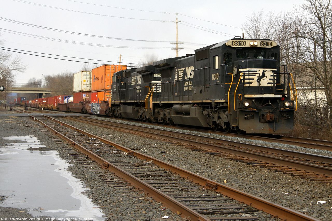 NS 8310